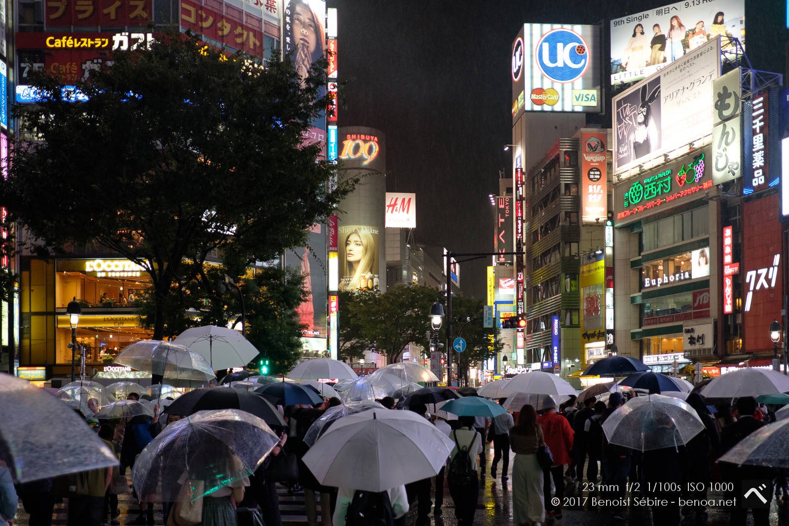 Shibuya Rain - Benoa Pixeltales